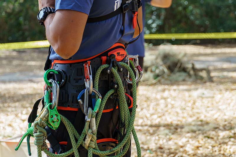 Vilken Arborist Sele du ska köpa: Alla arborist selar och vad du bör tänka på