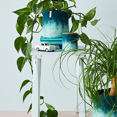 Flower pots in 100% wool - Available in a variety of colors | Aveva Design