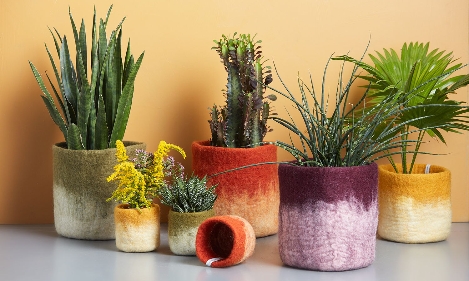 Color up your life - Aveva Design