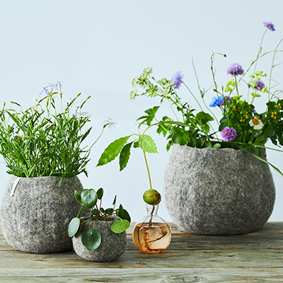 Flower pots in 100% wool - Available in a variety of colors | Aveva Design