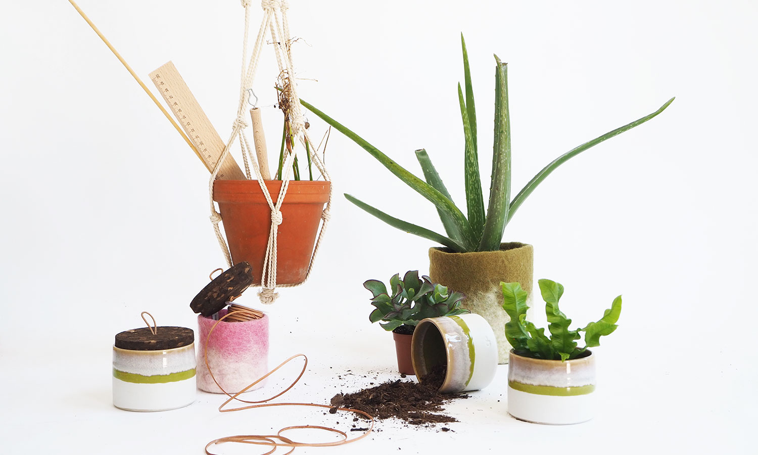 Color up your life - Aveva Design