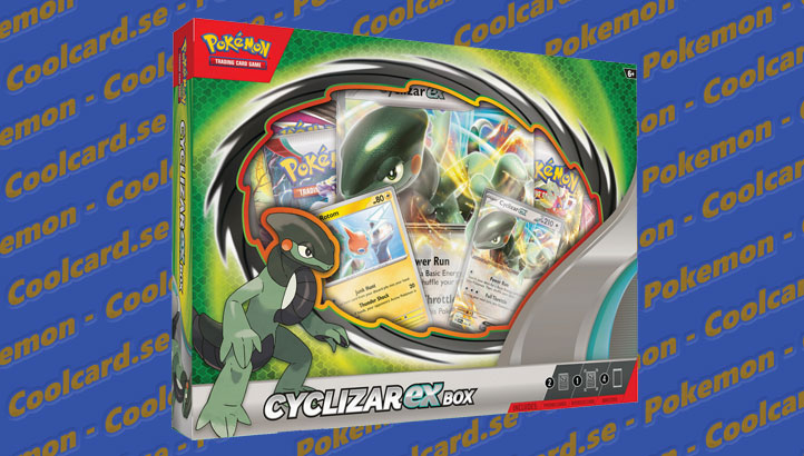 Pokémon TCG: Cards, binders and much more.