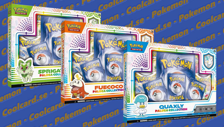 Pokémon TCG: Cards, binders and much more.