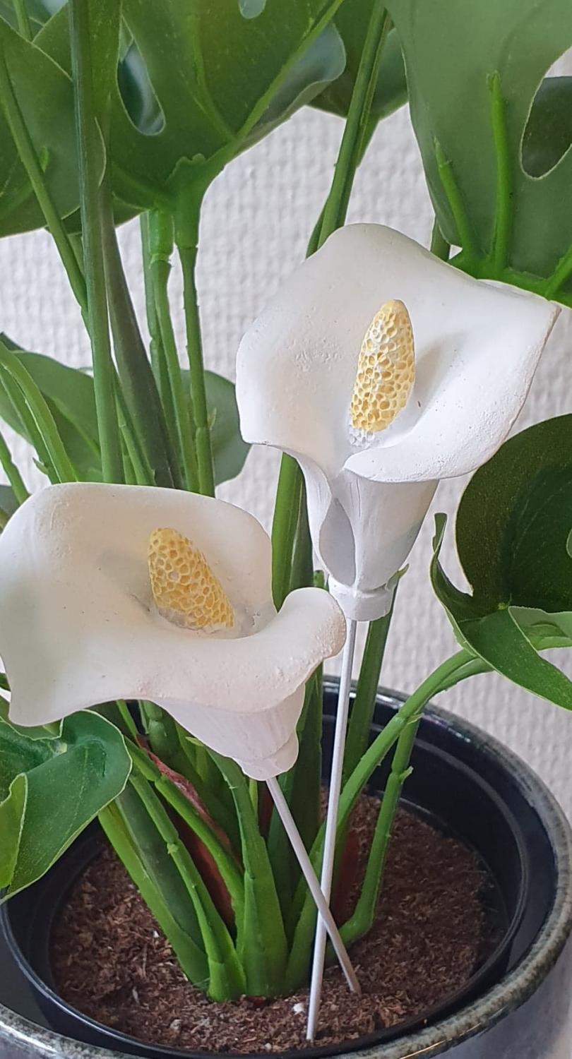 Blom Stick Kalla 2 - Pack