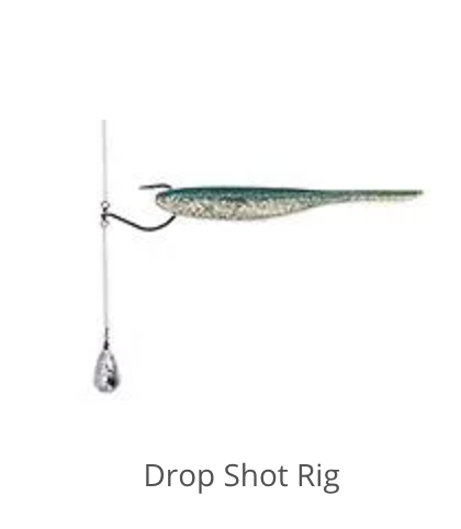 DROP SHOT RIG