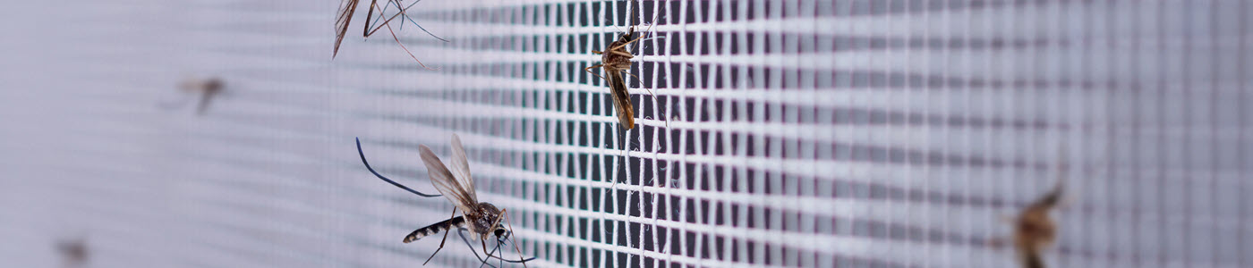 Insect net, protection against mosquitoes, gnats and midges