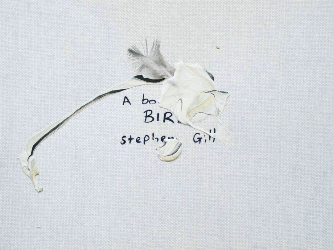 A Book Of Birds Print Edition a-book-of-birds-print-edition