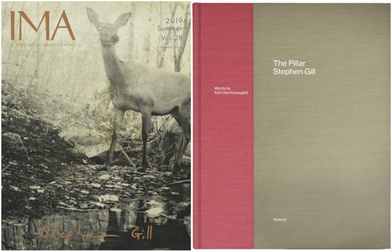 Stephen Gill Books