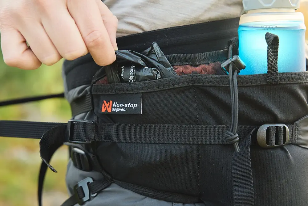 Non-stop Trail Light belt Black – Löparbälte för Hund | RM Jakt