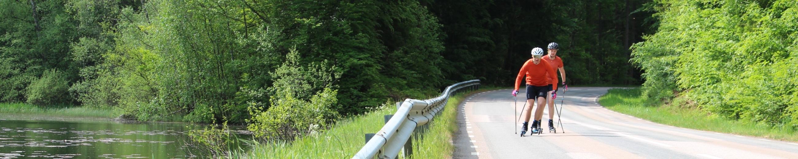 Rullskidor - Köp rullskidor online med fri frakt | Rullskidcenter