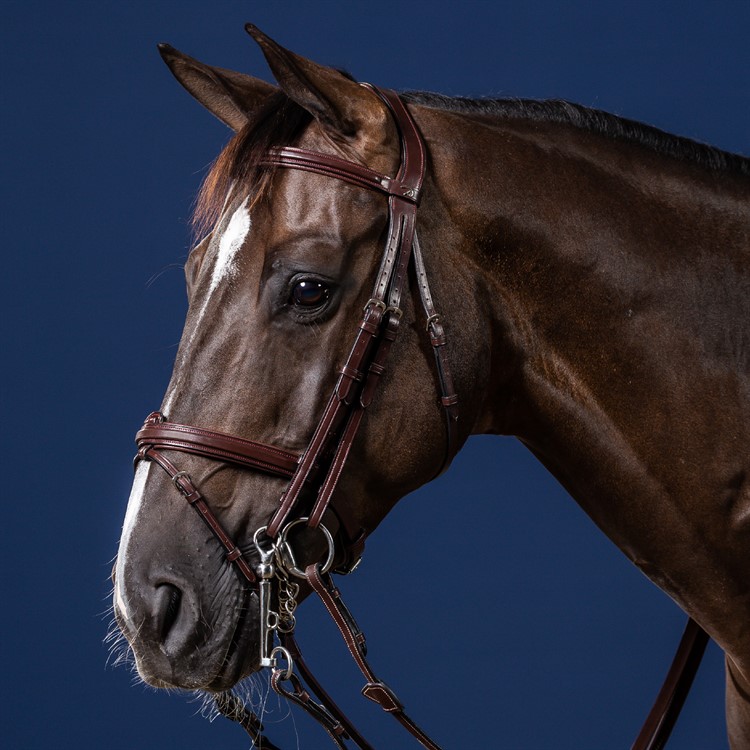 Träns Hopp & Allround