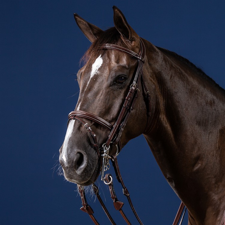 Träns Hopp & Allround