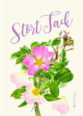 Earl Grey i flera olika varianter | Tehuset Java