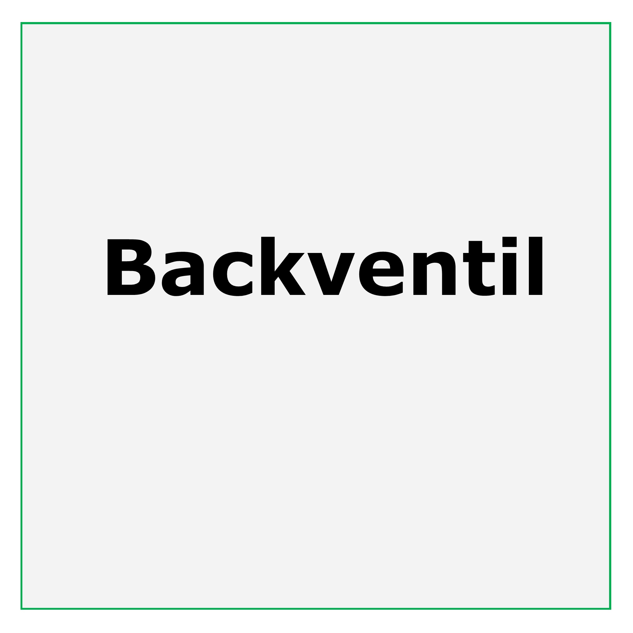 Backventil